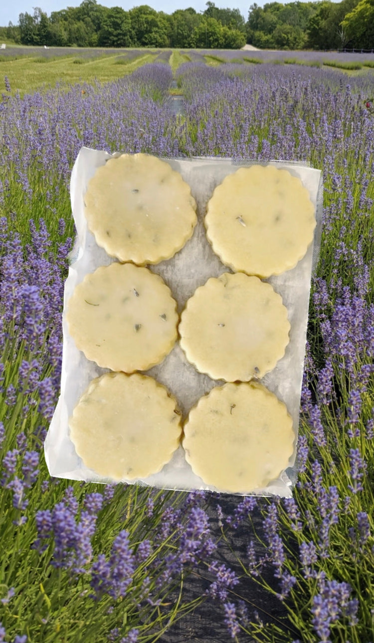 Sweet Botanical Bakes